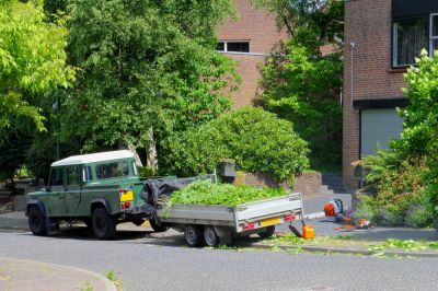 Experienced Hedge Removal Services for Clean Outdoor Spaces